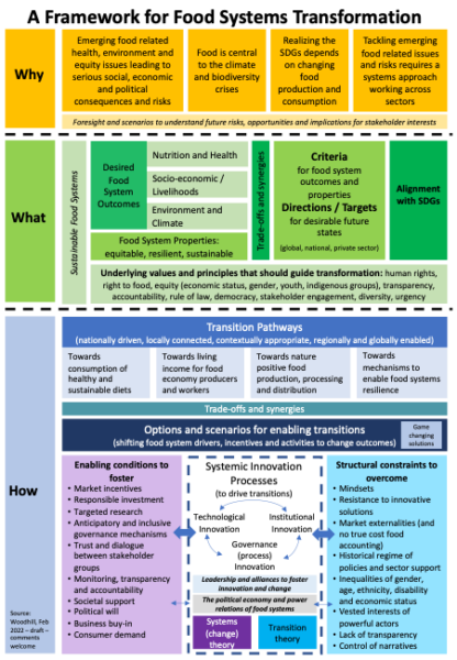 Why, What, and How: A Framework for Transforming Food Systems ...