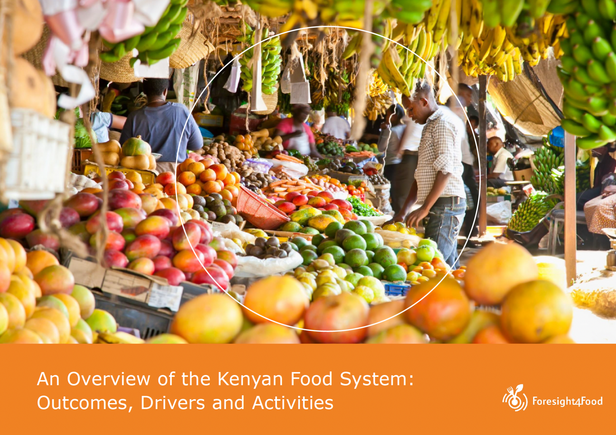 Food System Maps - Foresight4Food