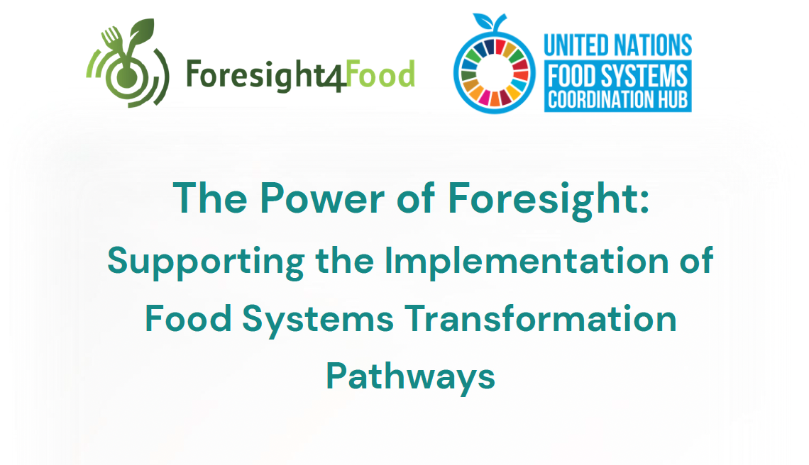 ‘The Power of Foresight’: Key Insights from Global Foresight4Food ...