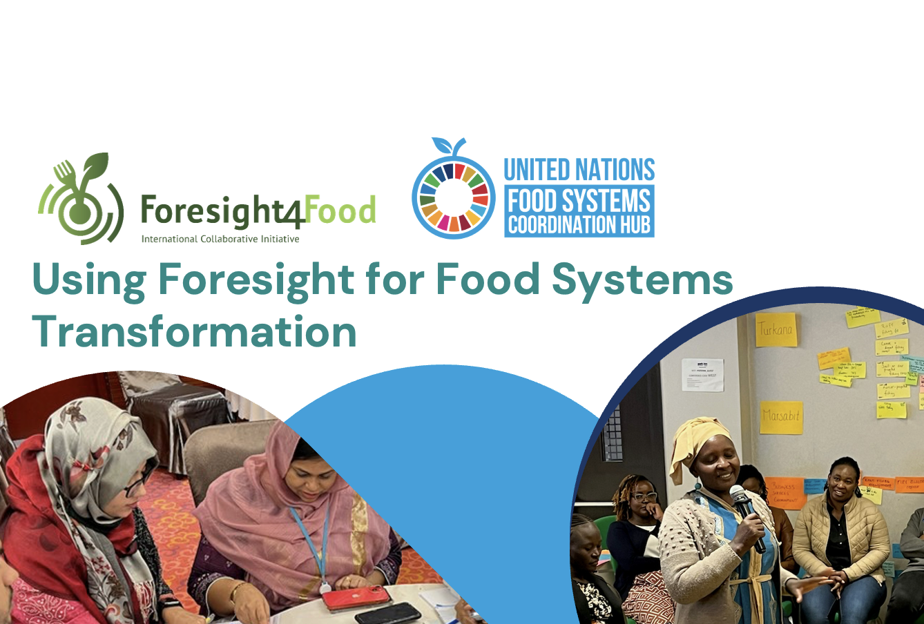 Now Available: A Practical Guide to Using Foresight for Food Systems ...